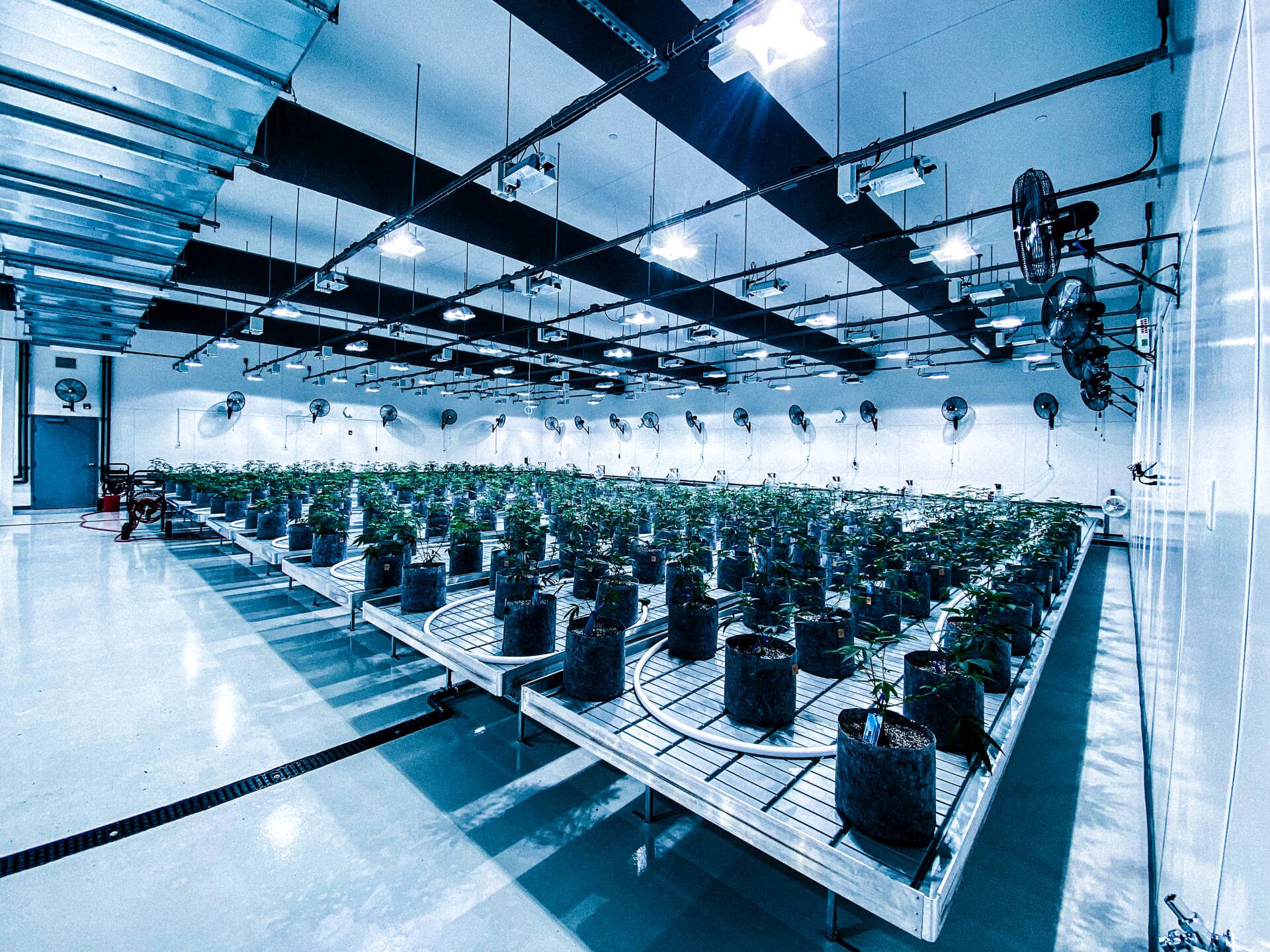 Gallery | Cloud Cover