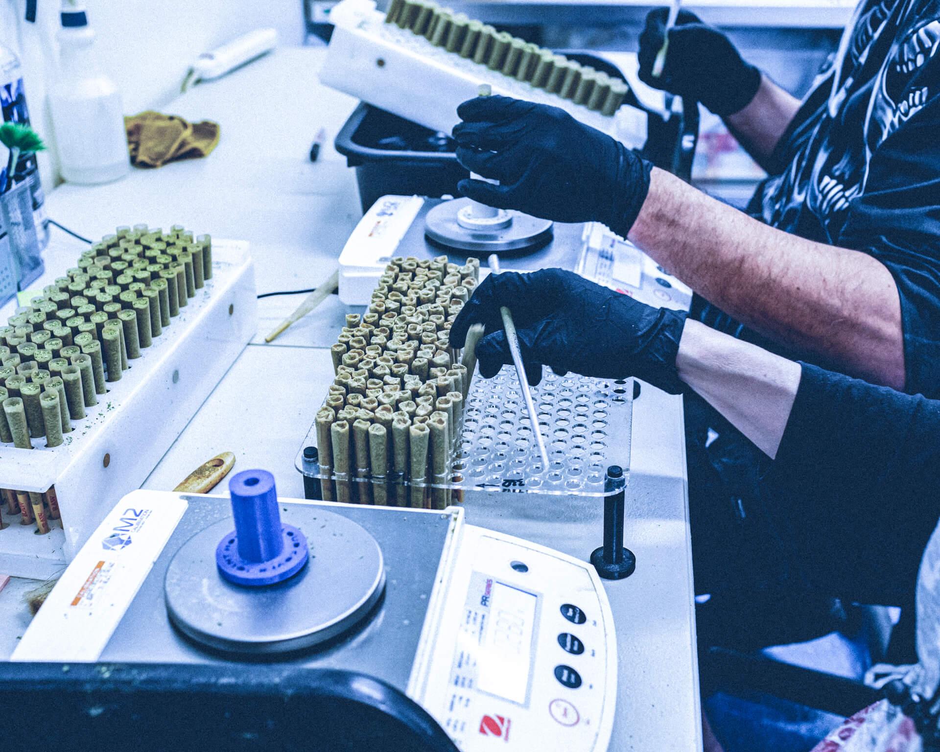 Gallery | Cloud Cover